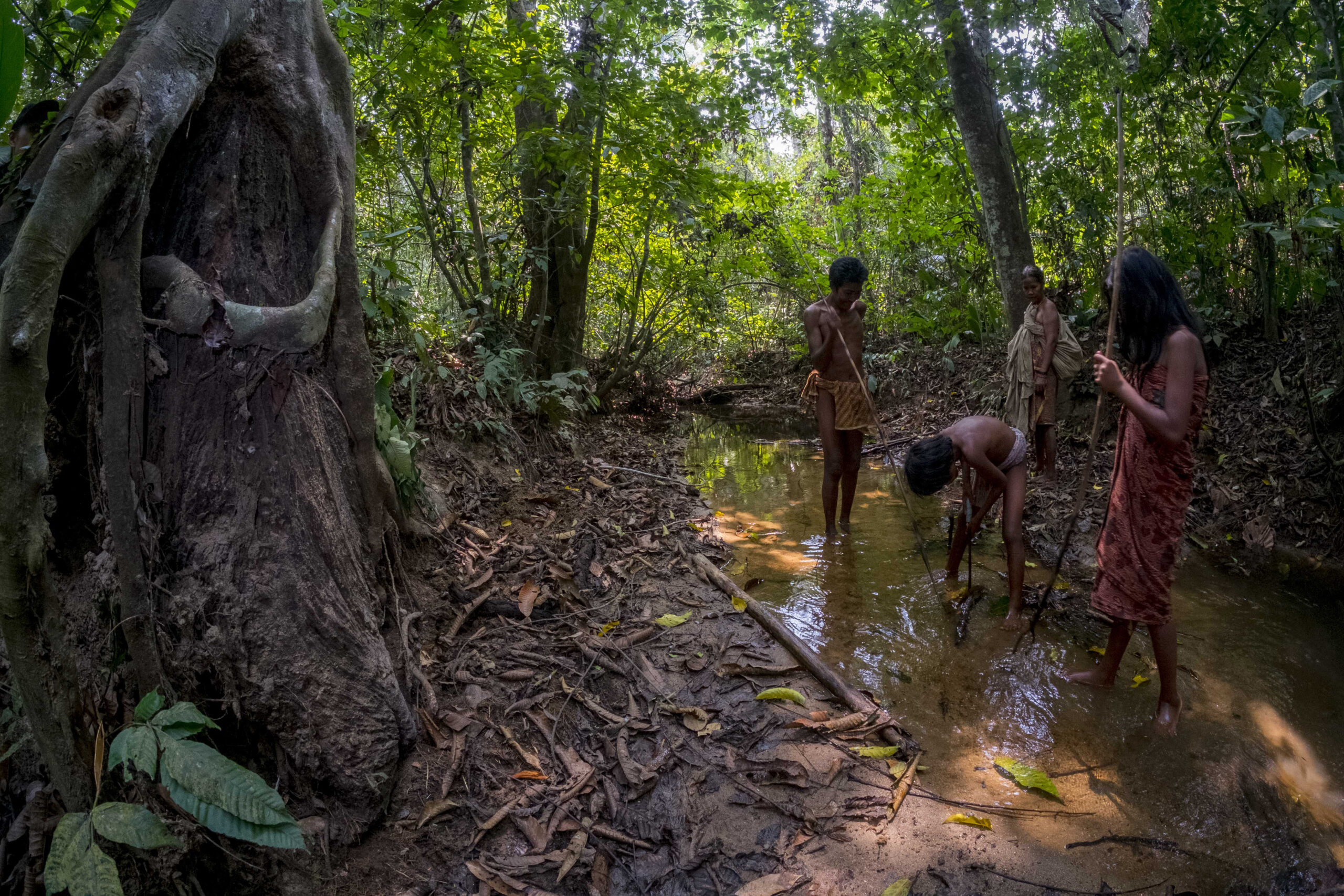 Taman Nasional Bukit Duabelas: Trekking dan Bertemu Suku Anak Dalam ...